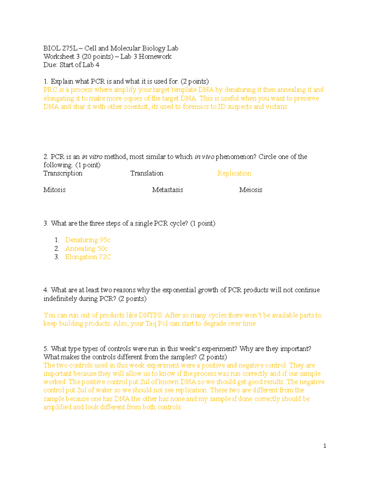 PCR and COI Primers: Cell and Molecular Biology Lab Worksheet - Studocu