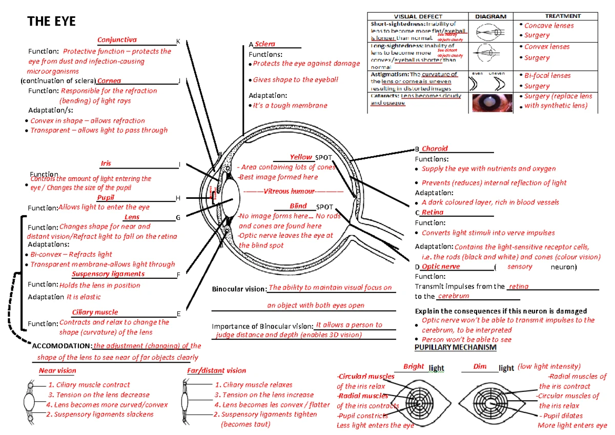 Donapan-500-PI: Paracetamol Tablets Professional Info Guide - Studocu
