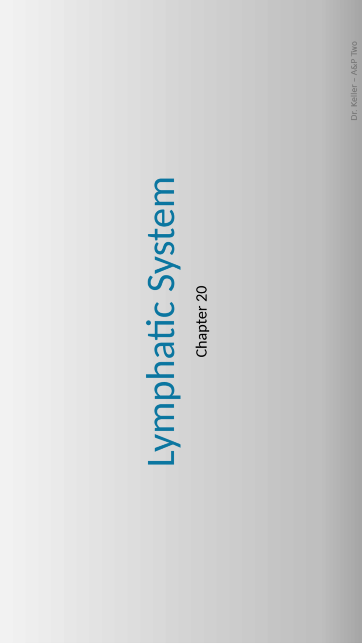 Chapter 20: Lymphatic System Overview - Studocu