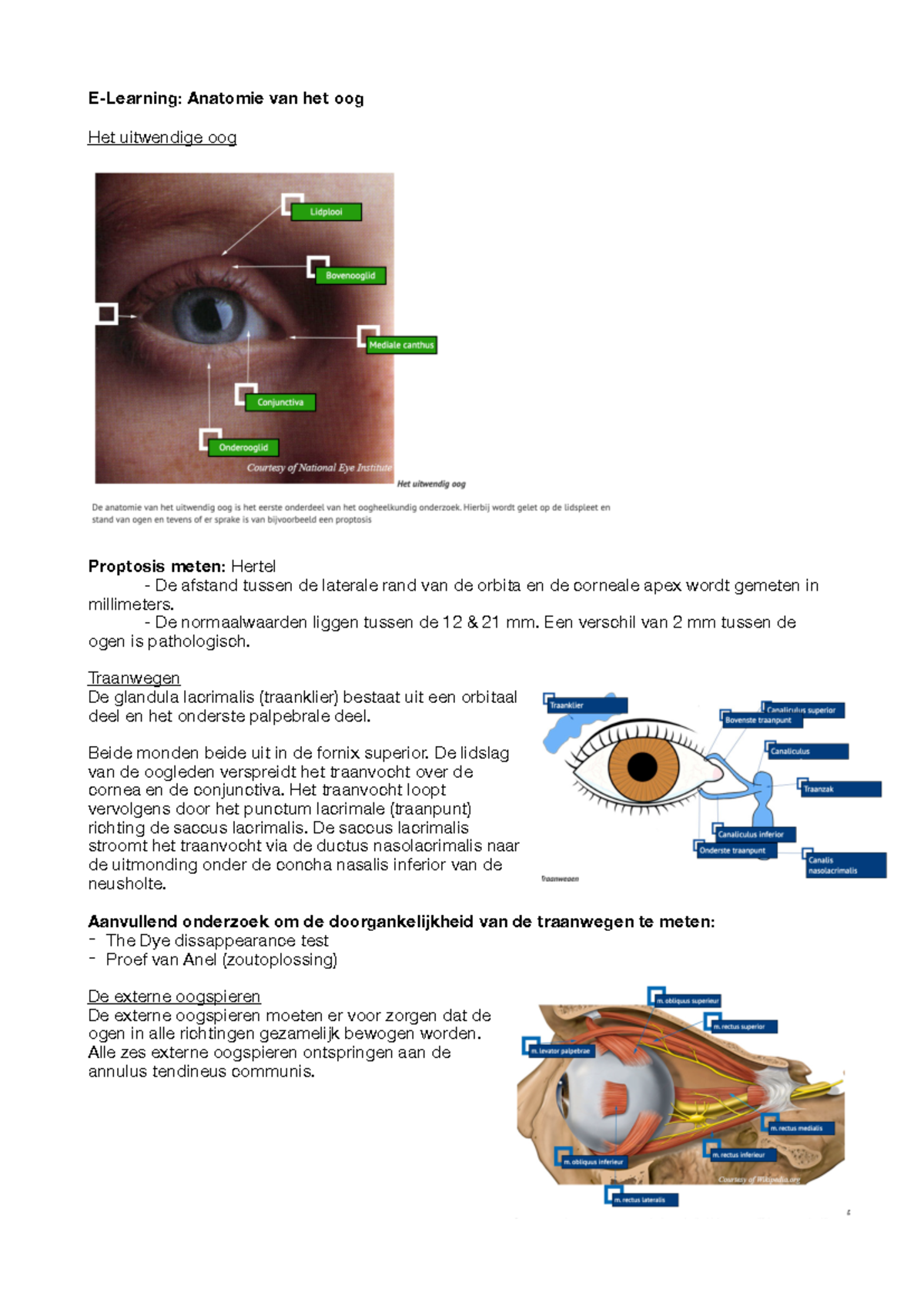 HC01: Anatomie en Fysiologie van het Oog - Week 2 G3 - Studeersnel