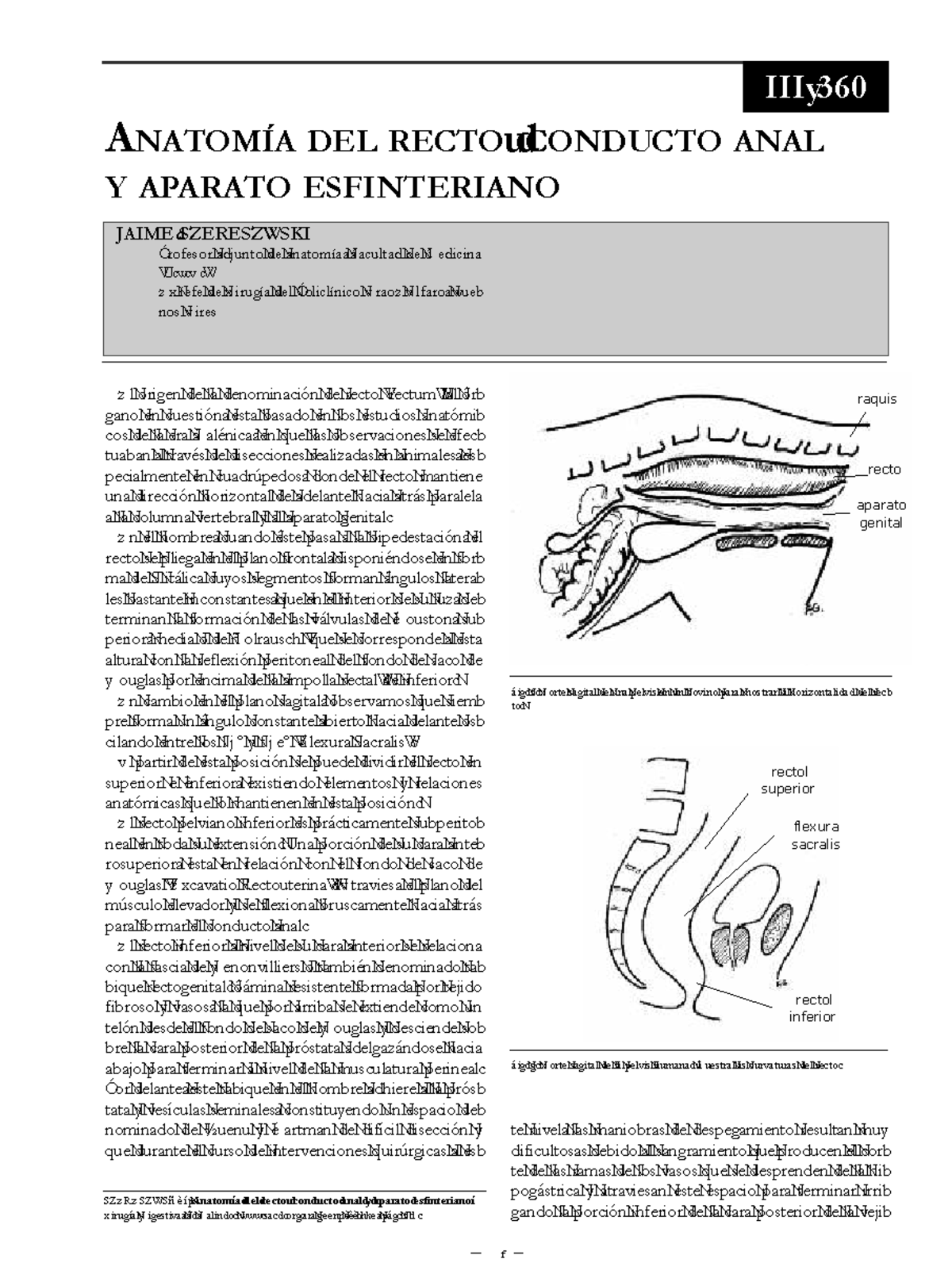 Anatomía del Recto y Conducto Anal - Curso de Anatomía 2023 - Studocu