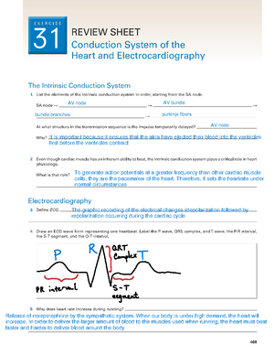 1a Anatomy of the Visual System - Accessory structures Product Lacrimal ...