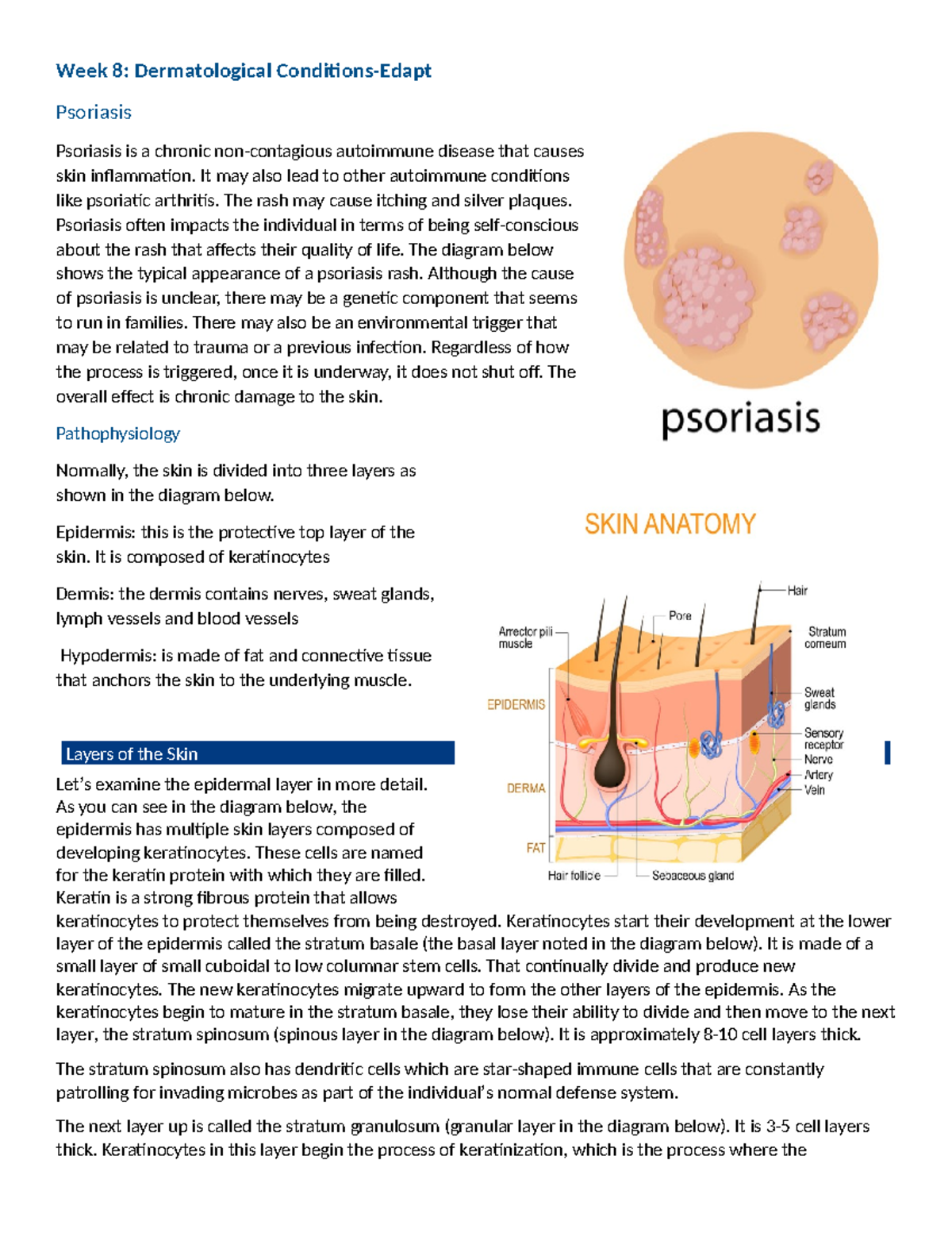 Week 8: Dermatological Conditions Overview - Edapt Study Guide - Studocu