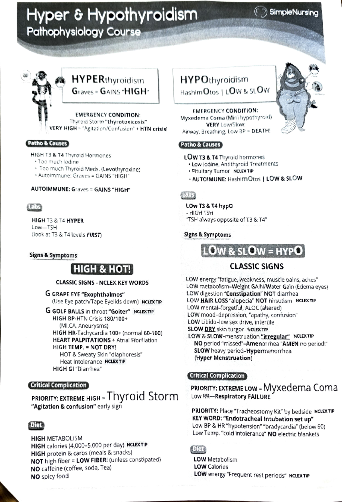 Hy - Endocrine - Hyper &Hypothyroidism Pathophysiology Course Patho ...