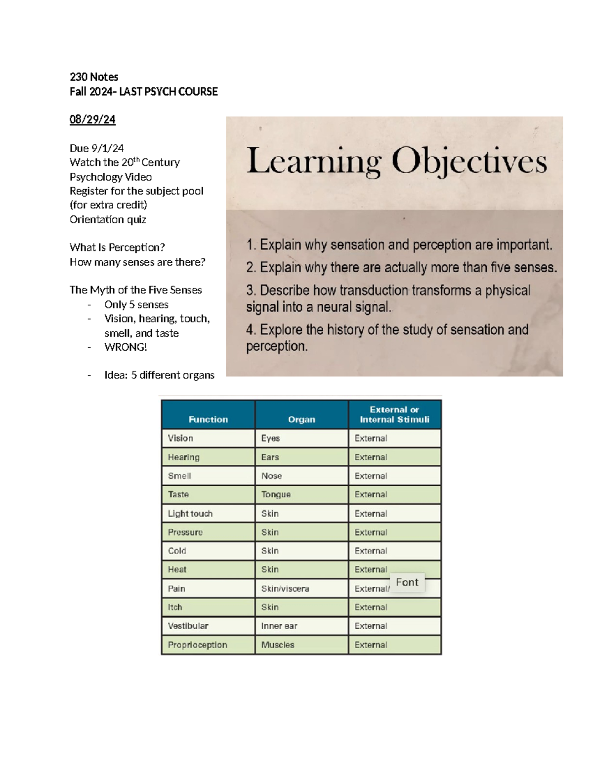 PSY 230: Perception and Sensation Notes - Fall 2024 Overview - Studocu