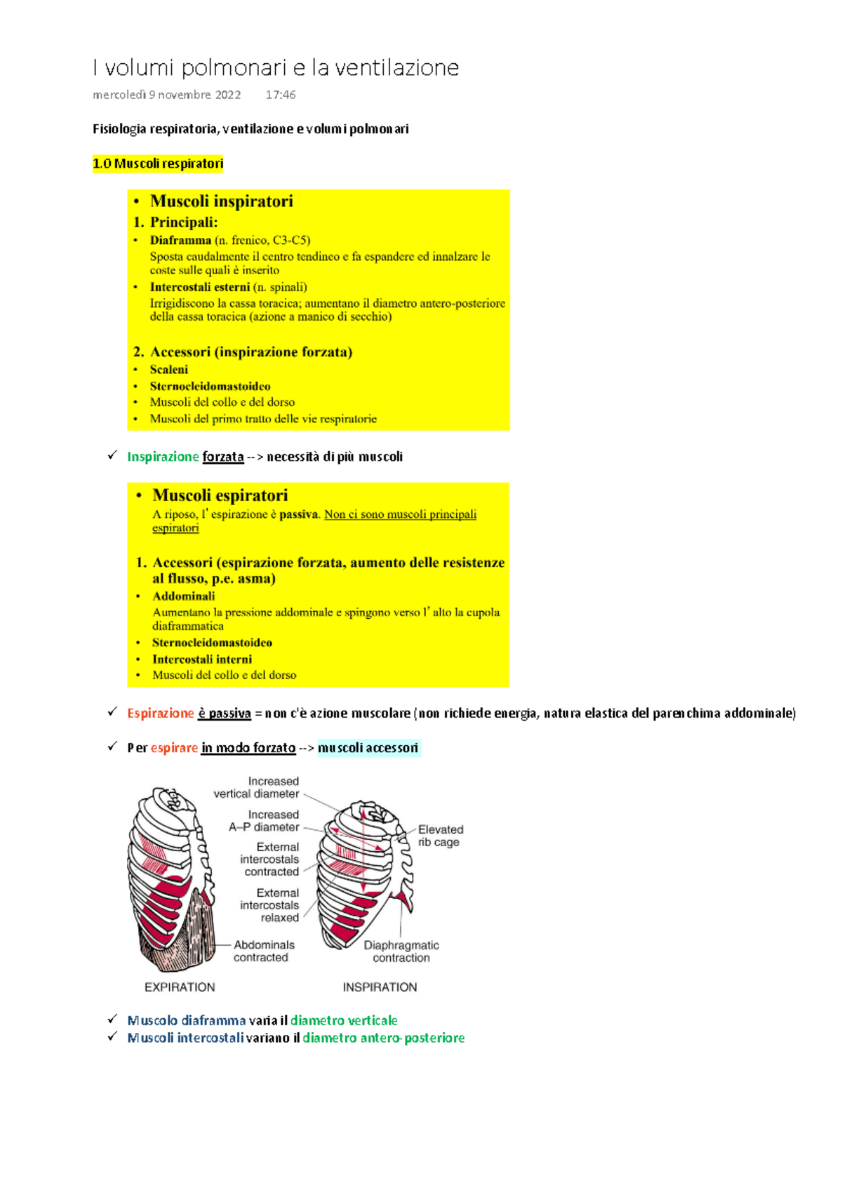 16 volumi polmonari ventilazione - Fisiologia respiratoria ...