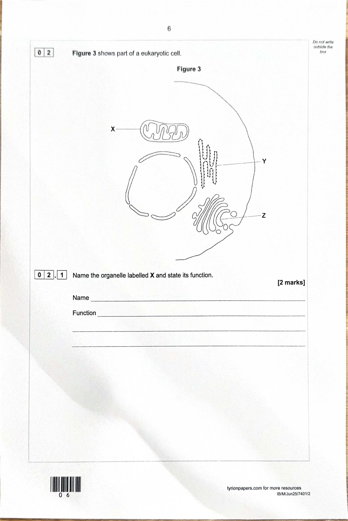 Biology 02: Eukaryotic Cell Structure and Function Exam Notes - Studocu