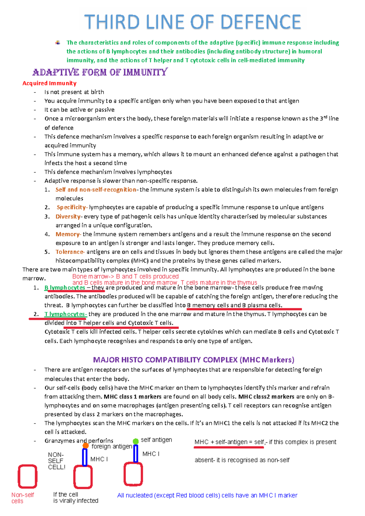 U86 Adaptive Immunity: The Third Line of Defence Explained - Studocu