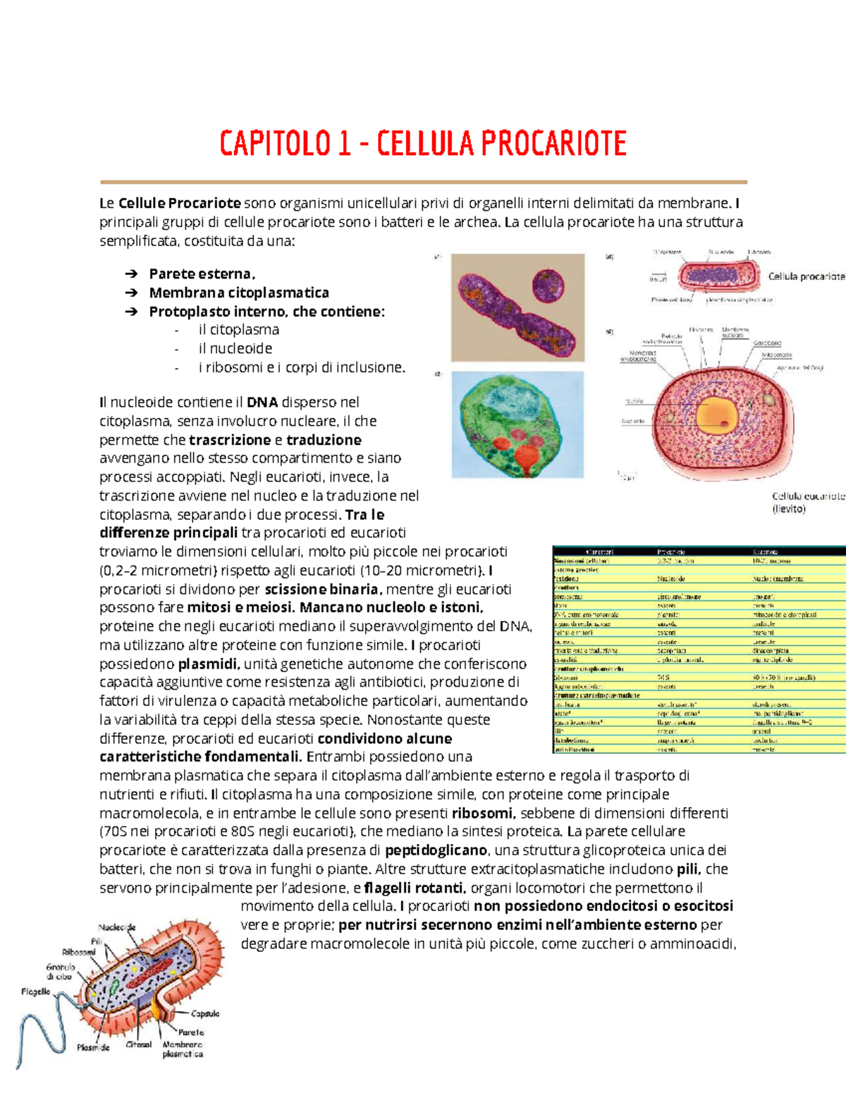 CAPITOLO 1: CELLULA PROCARIOTE E STRUTTURE MICROBICHE (MICROBIOLOGIA ...