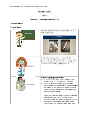 Ted Talk Remitances - ted talk guided notes - AP Human Freed ...