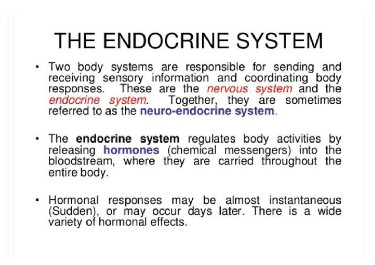 Endocrine System Overview - Notes for Biology Course - Studocu