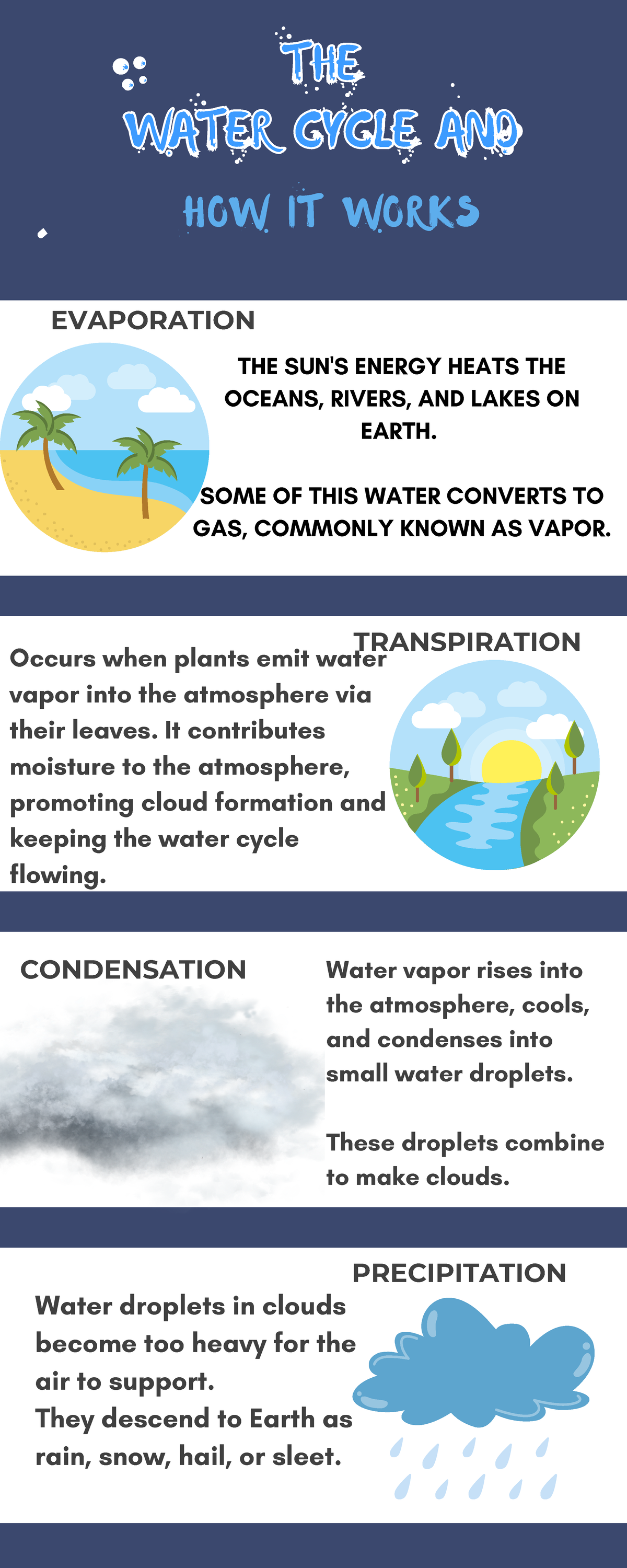 Condensation - dqeqsarrthy - THETHE WATER CYCLE ANDWATER CYCLE AND ...