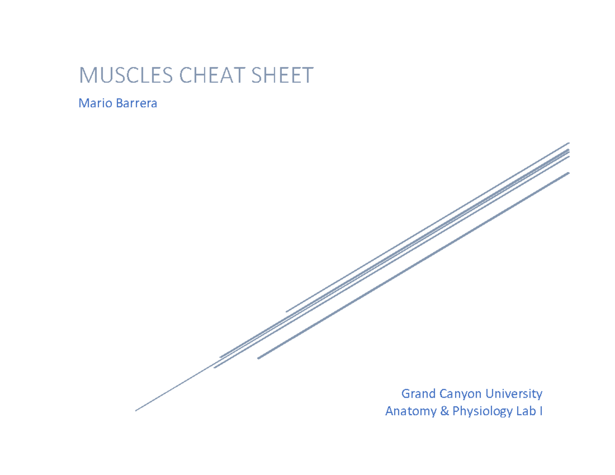 Anatomy & Physiology Lab I: Muscles OIA Combined Cheat Sheet - Studocu