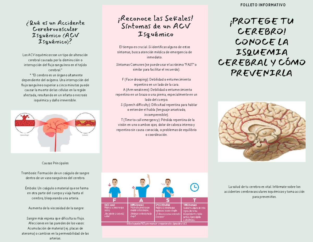 Tríptico Informativo sobre ACV Isquémico y Prevención - Studocu