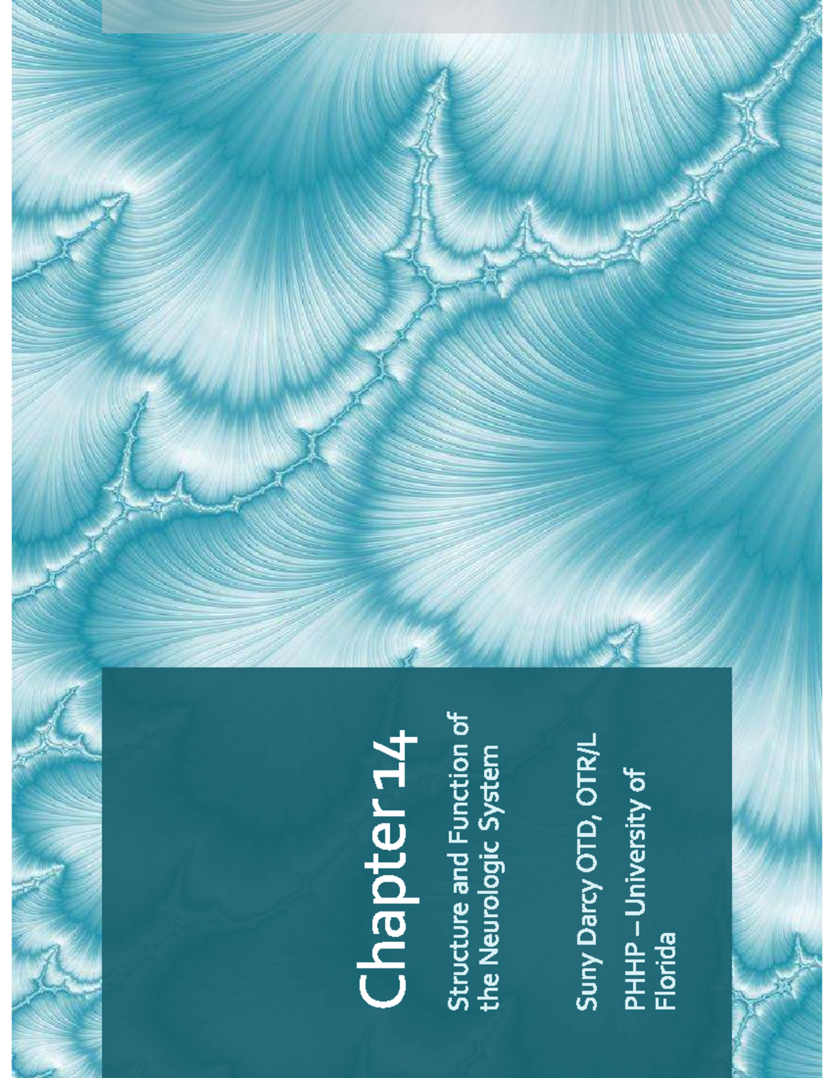 Chapter 14 Structure and Function of the Neurologic System - Modified from Patton KT et al ...