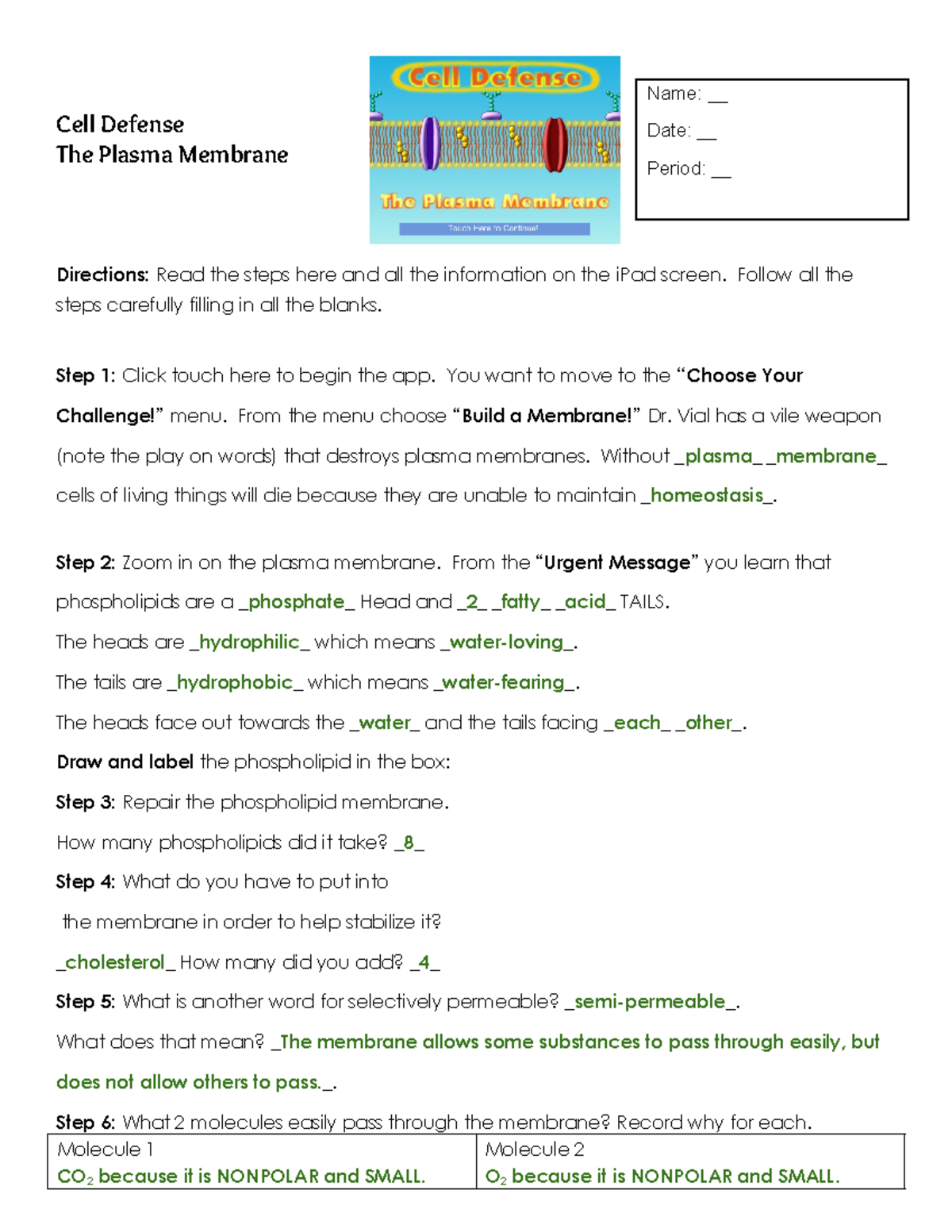 Cell Defense: Understanding the Plasma Membrane Structure and Function - Studocu