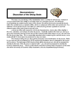 [Solved] You have been tasked with setting up a small office network ...