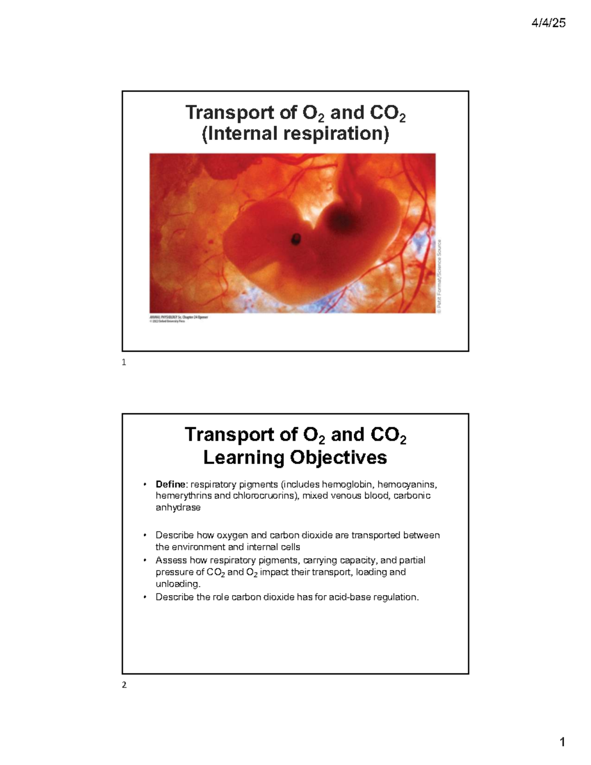 Transport of O2 and CO2: Respiratory Pigments and Mechanisms (BIO 101 ...
