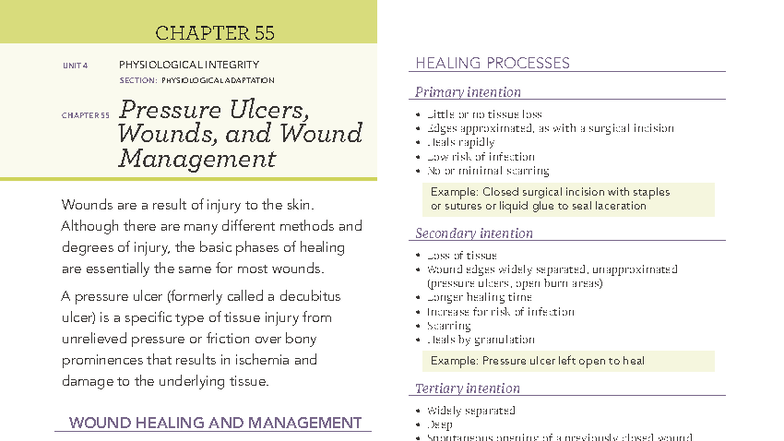 FUNDAMENTALS OF NURSING CHAPTER 55: Pressure Ulcers & Wound Management ...