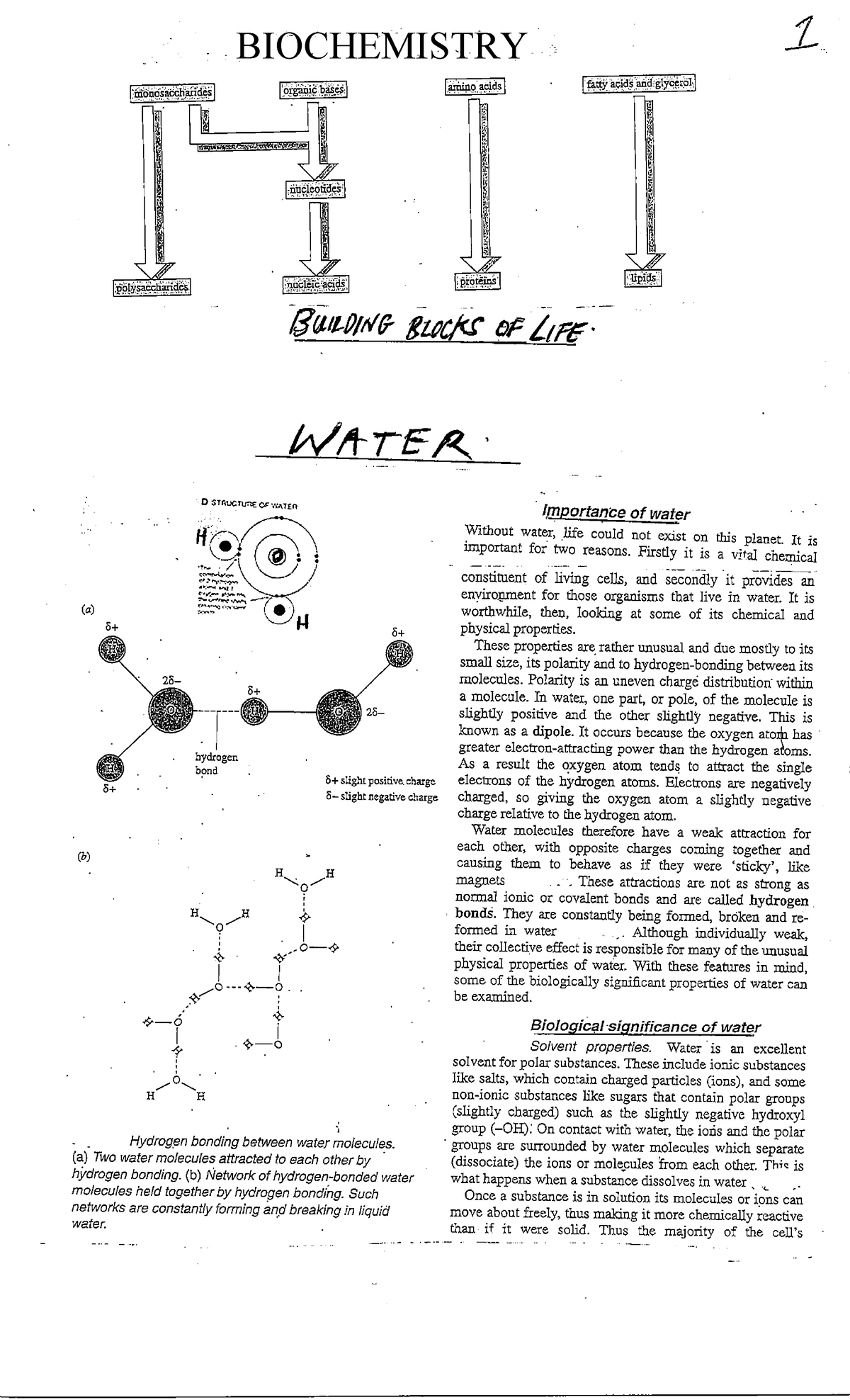 Biochemistry 1: Carbohydrates, Lipids, Proteins, and DNA Structure ...