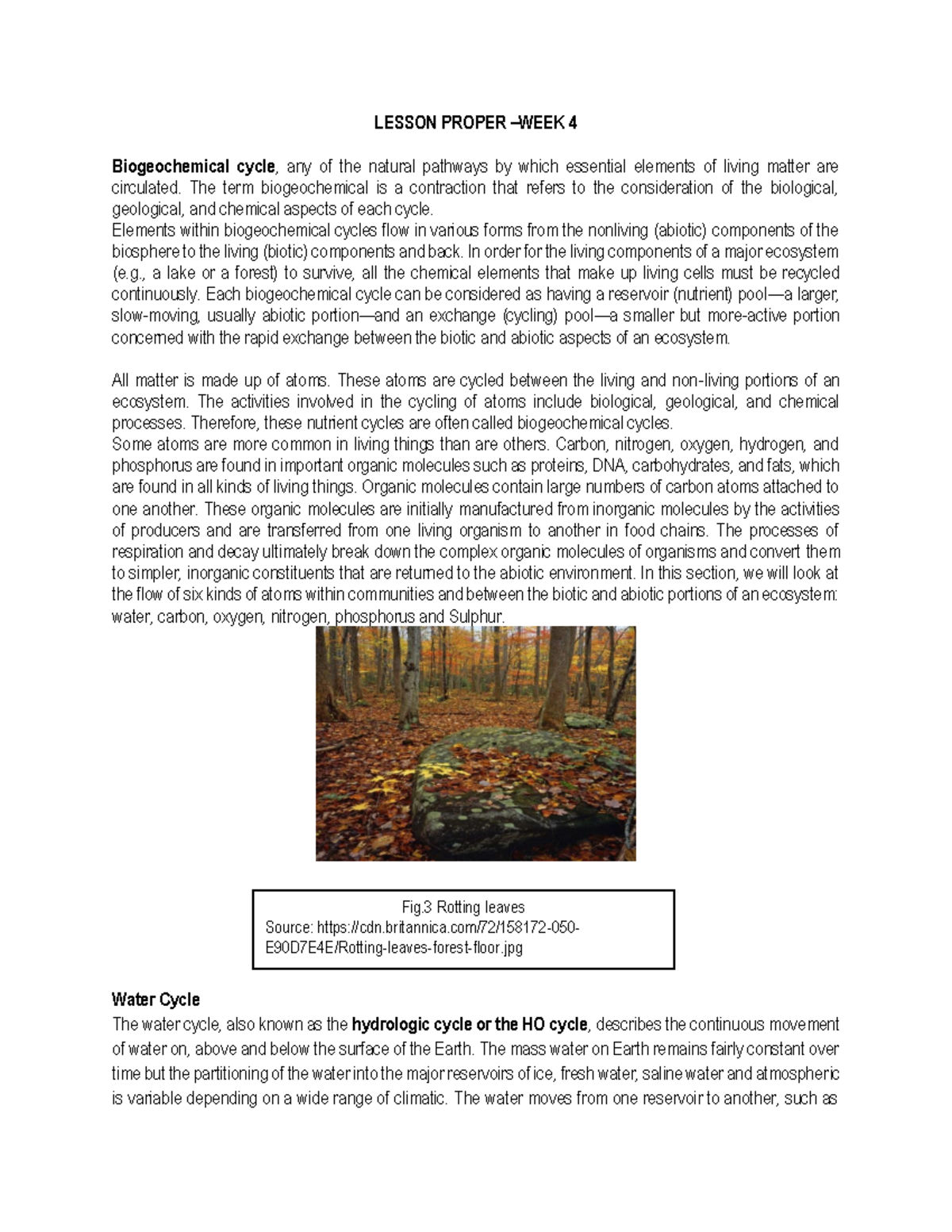 WEEK 4 - Biogeochemical Cycles in Ecosystems: A Lesson on Ecology - Studocu