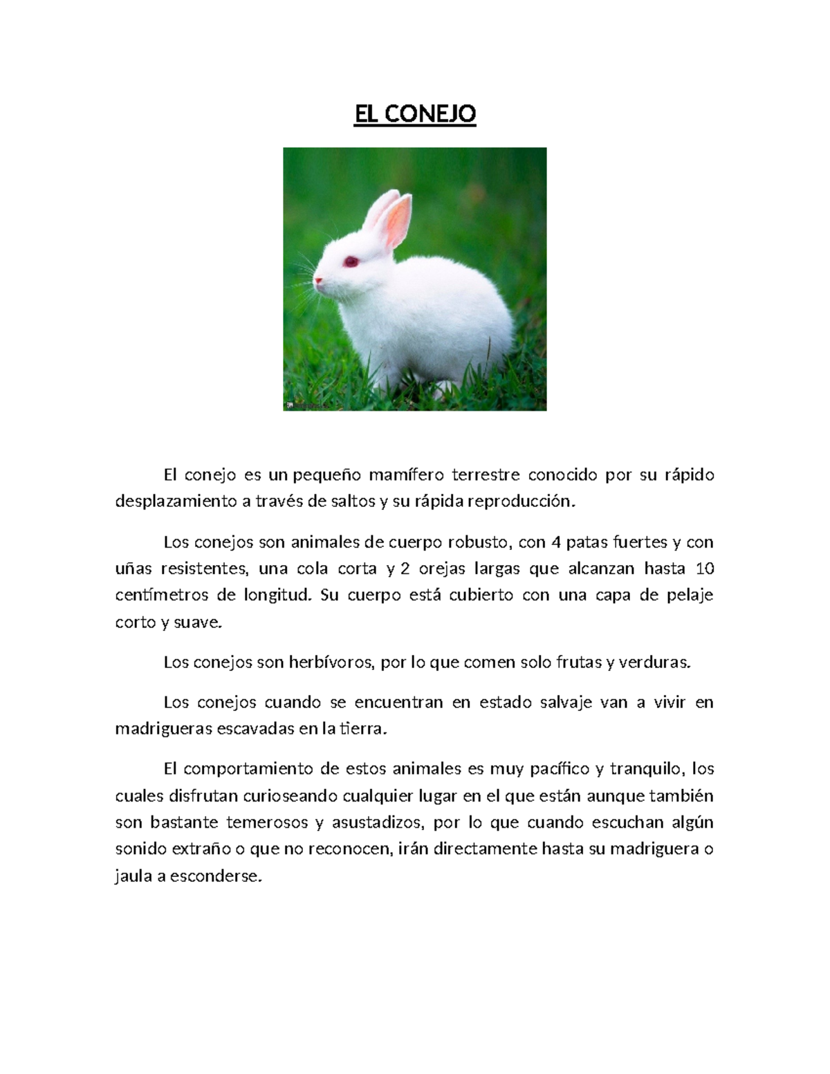 EL CONEJO - Actividad sobre el comportamiento y hábitat del conejo ...