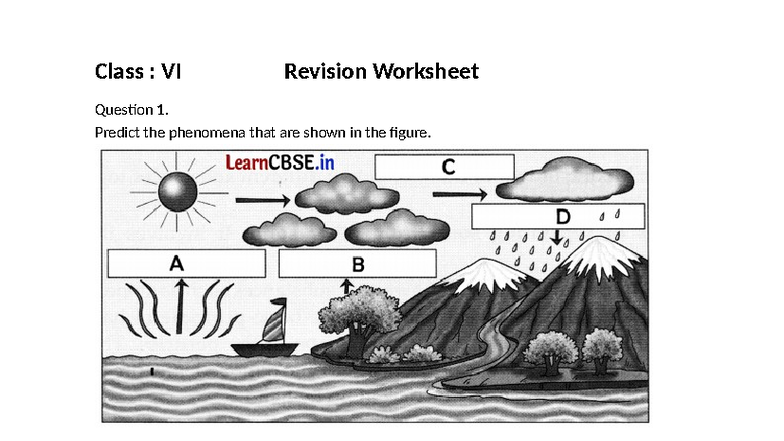 Class 6 Science Revision Worksheet: Key Concepts and Questions - Studocu