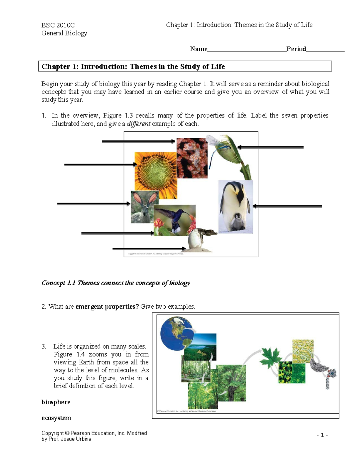 Interactive Reading Guide for BSC 2010C - General Biology Chapter 1 ...
