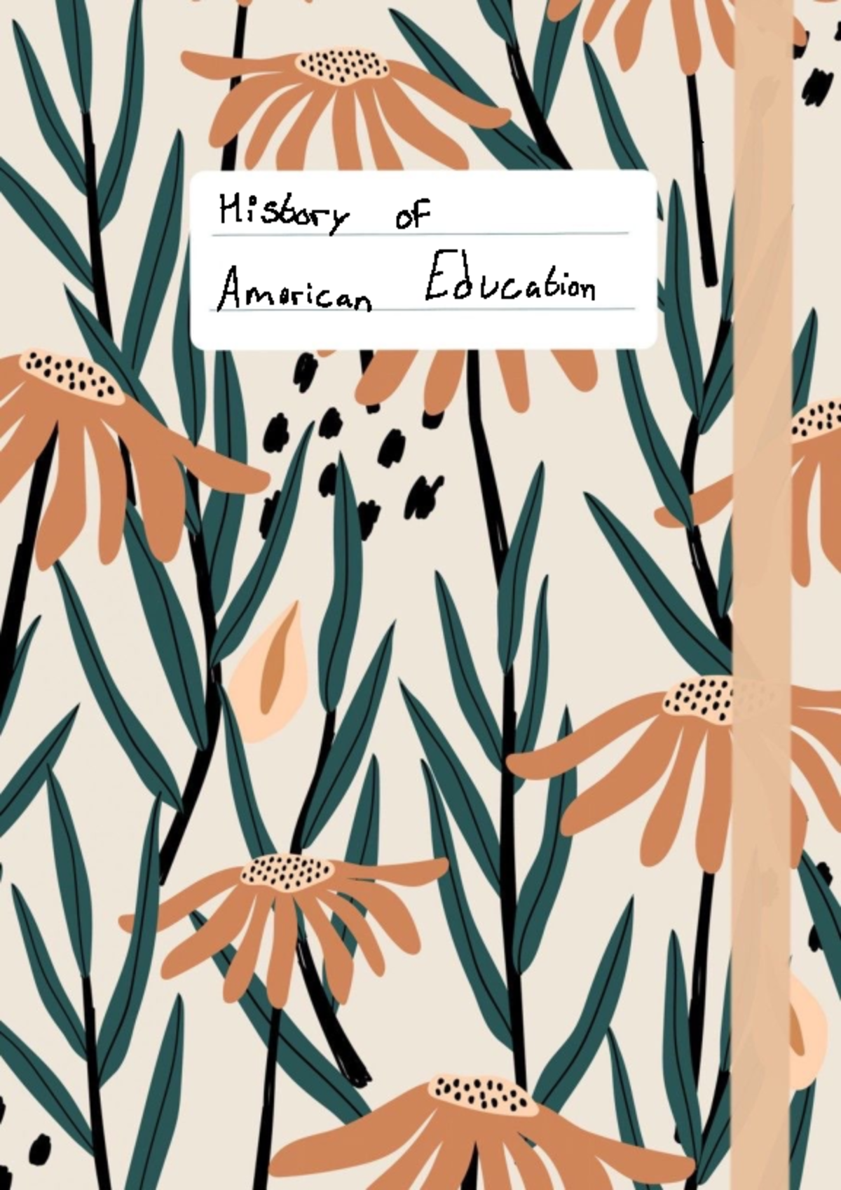 American Education History: Evolution of Schools & Diversity - Studocu