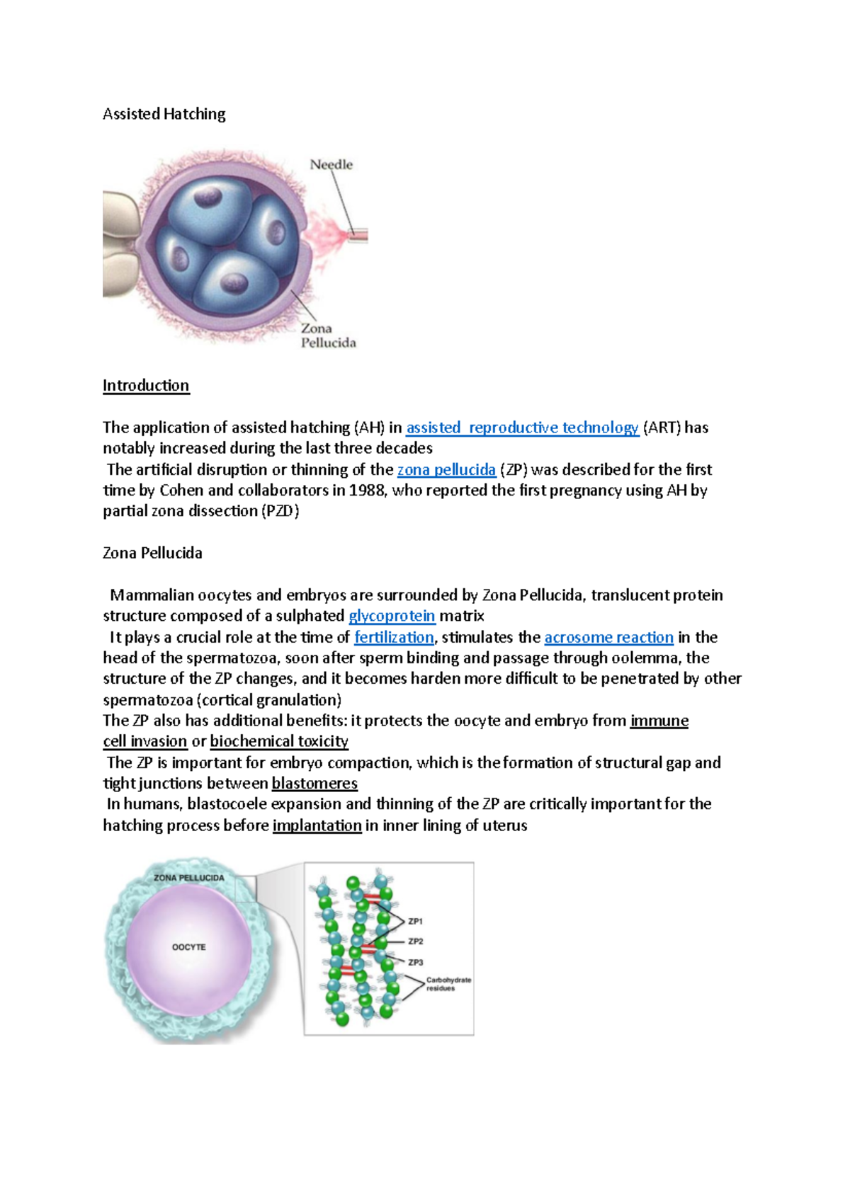 Assisted Hatching in ART: Techniques & Overview - Studocu