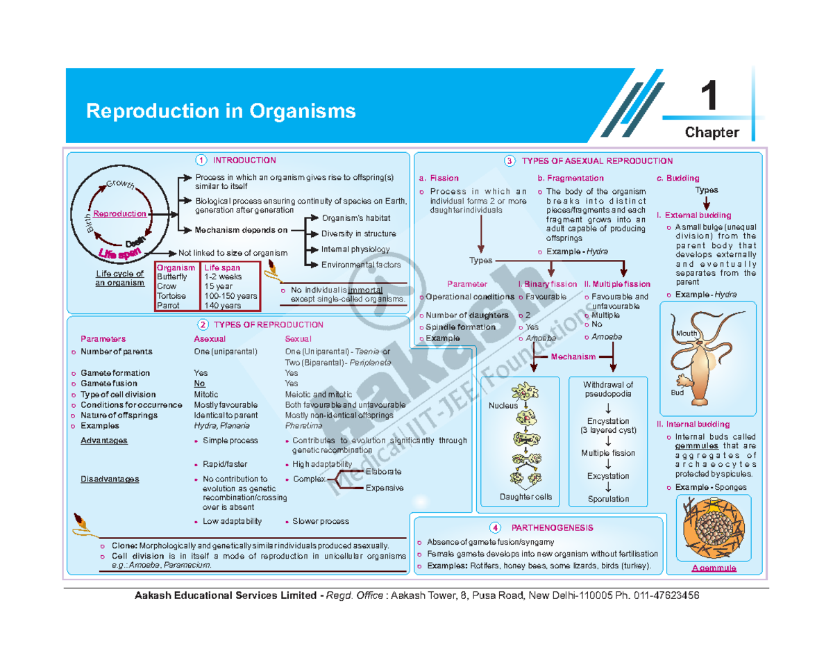 Reproduction in Organisms: Chapter 1 Overview and Key Concepts (ZOO XII ...