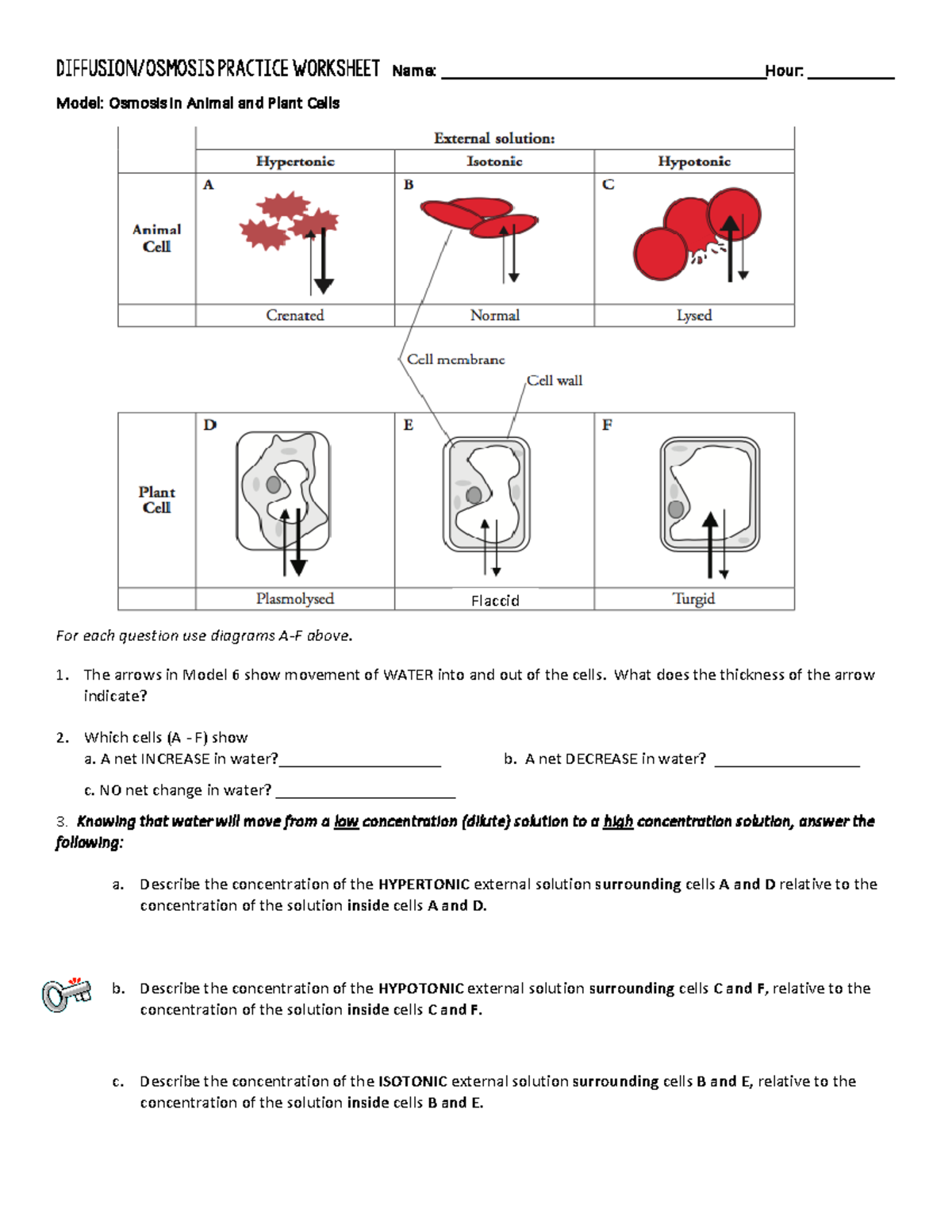 11 - Osmosis Practice WS - Diffusion/OSMOSIS Practice Worksheet Name ...
