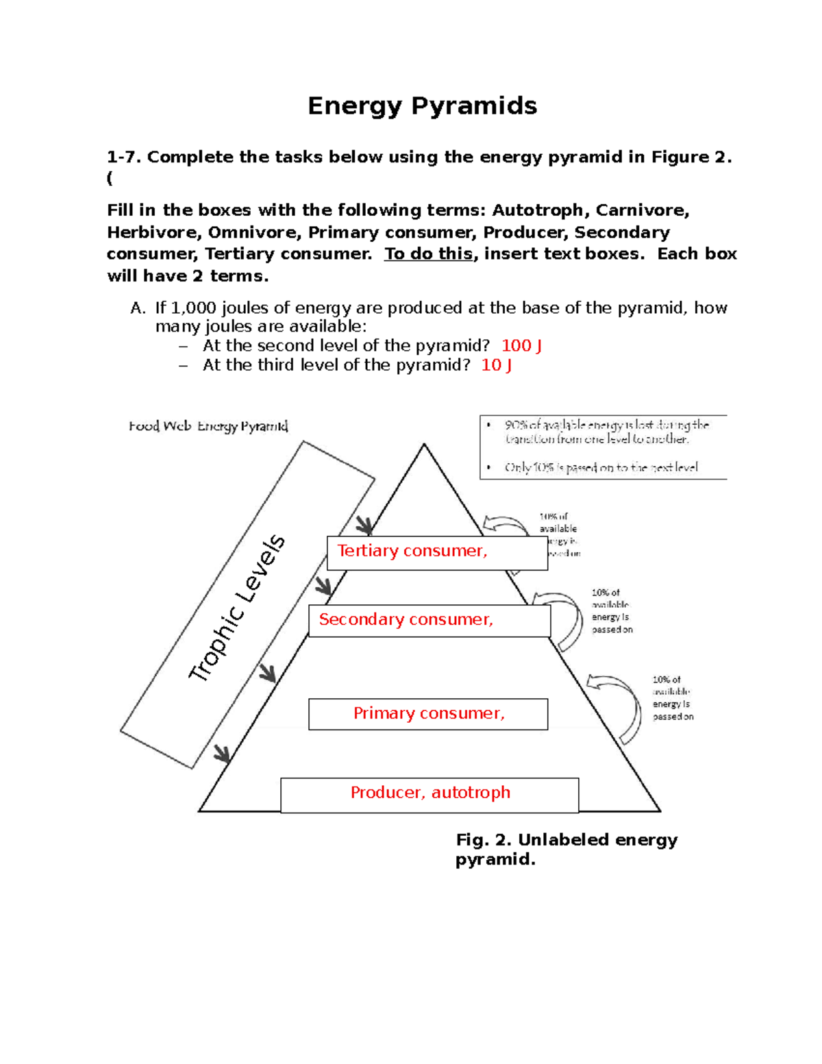 Energy Pyramids and Trophic Levels: A Study Guide (Bio 101) - Studocu