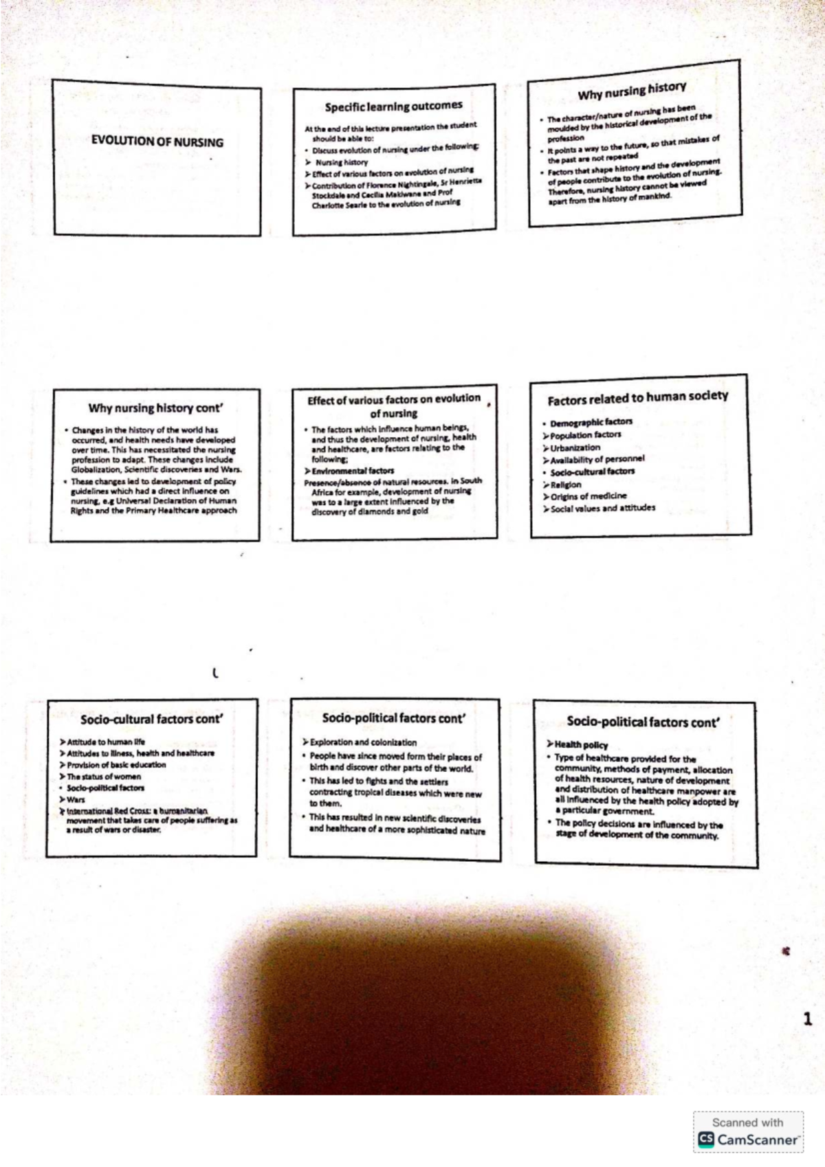 Evolution of Nursing: Historical Perspectives and Key Contributors (FNS ...