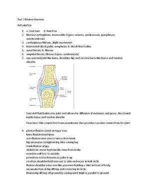 Urinary System Ex 40 Review Sheet - Print Review Sheet: Exercise 40 ...