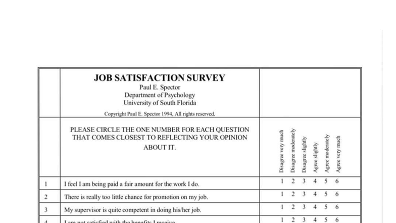 JOB SATISFACTION SURVEY: Scale by Paul E. Spector - Studocu