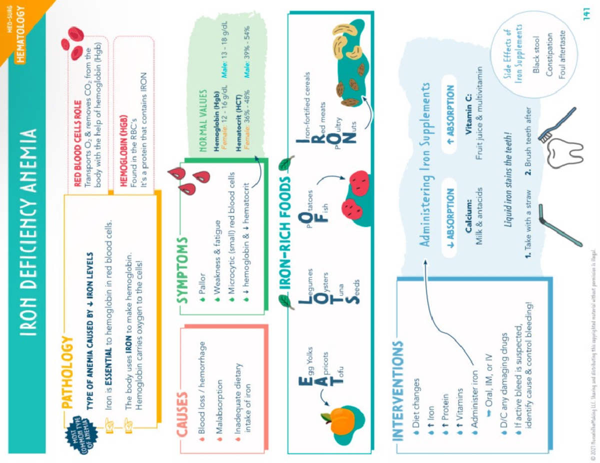 HEM 101: Iron Deficiency Anemia - Pathology, Causes, and Interventions ...