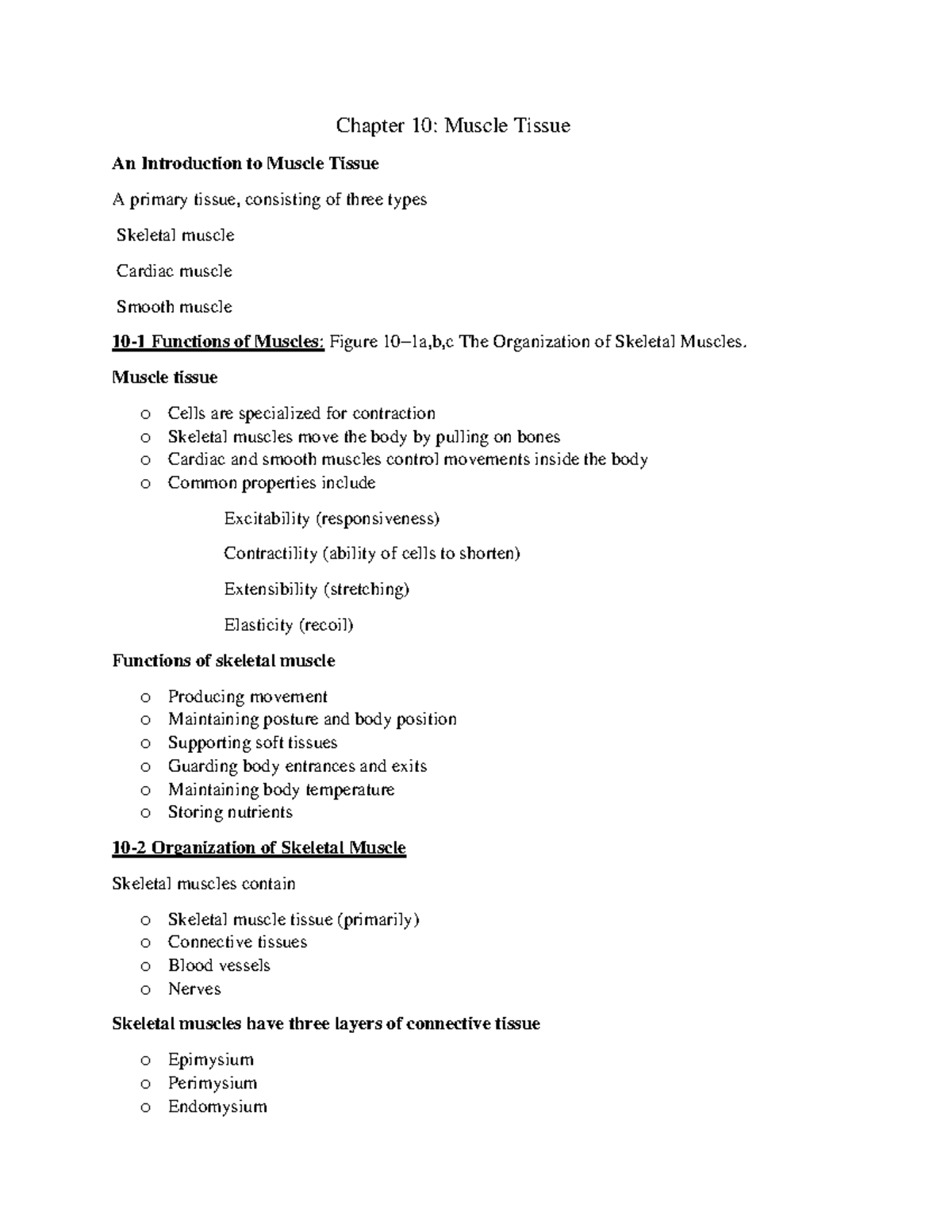 Chapter 10 - Muscle Tissue: Anatomy and Physiology Overview - Studocu