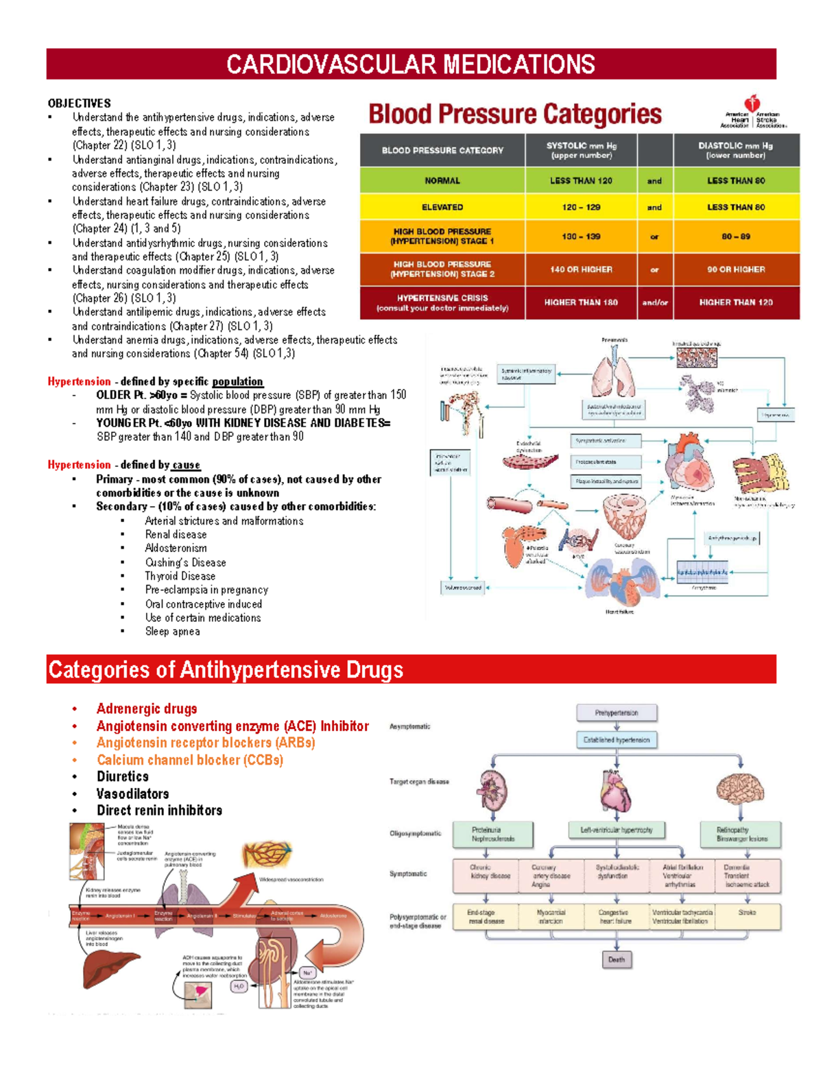 Week 4 Lecture Notes - Cardiovascular Meds Overview (Pharm 101) - Studocu