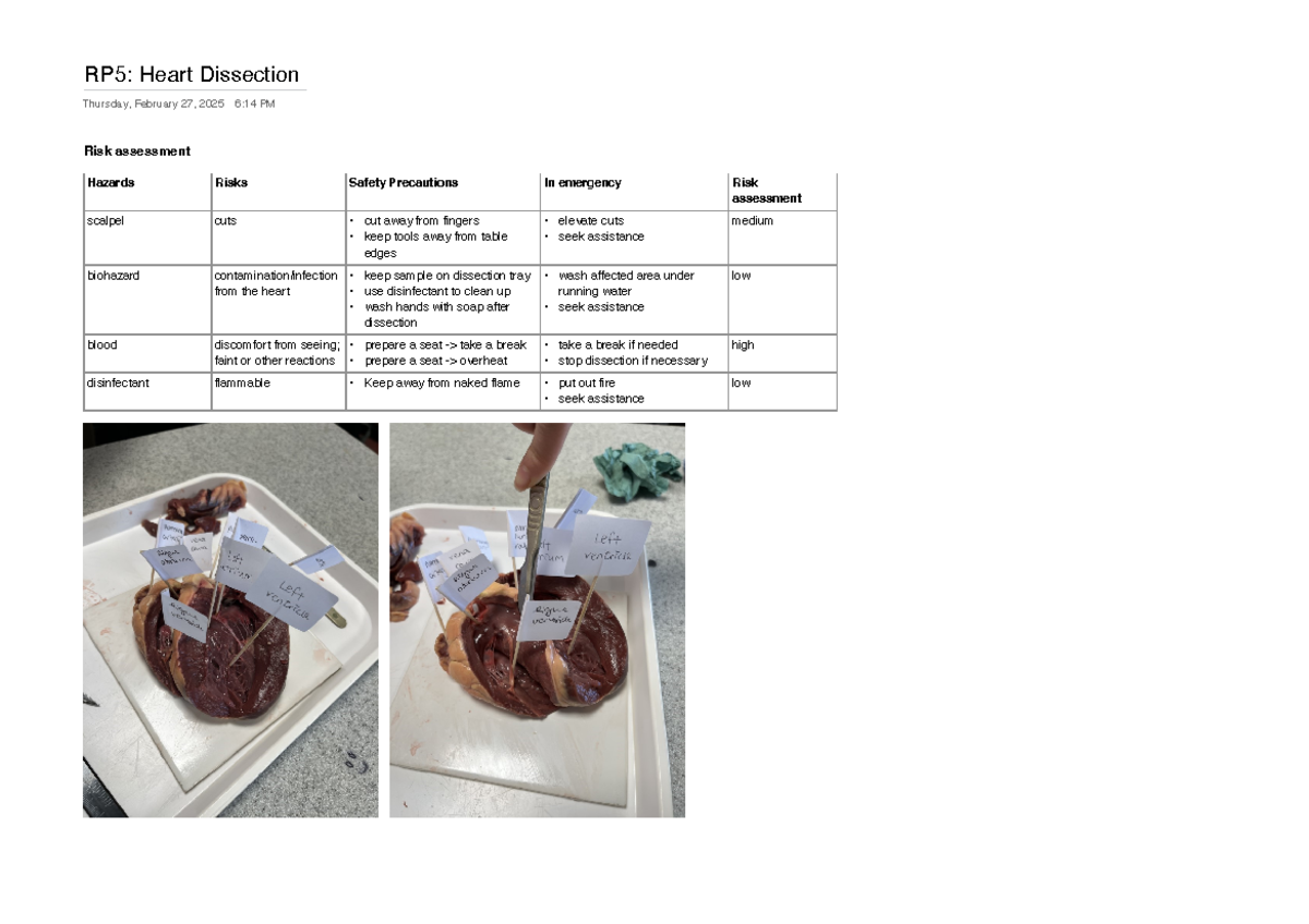 A Level Biology RP5: Heart Dissection Risk Assessment Guidelines - Studocu