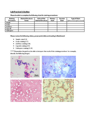 Five "I's" of Culturing Microorganisms: Techniques and Processes - Five ...