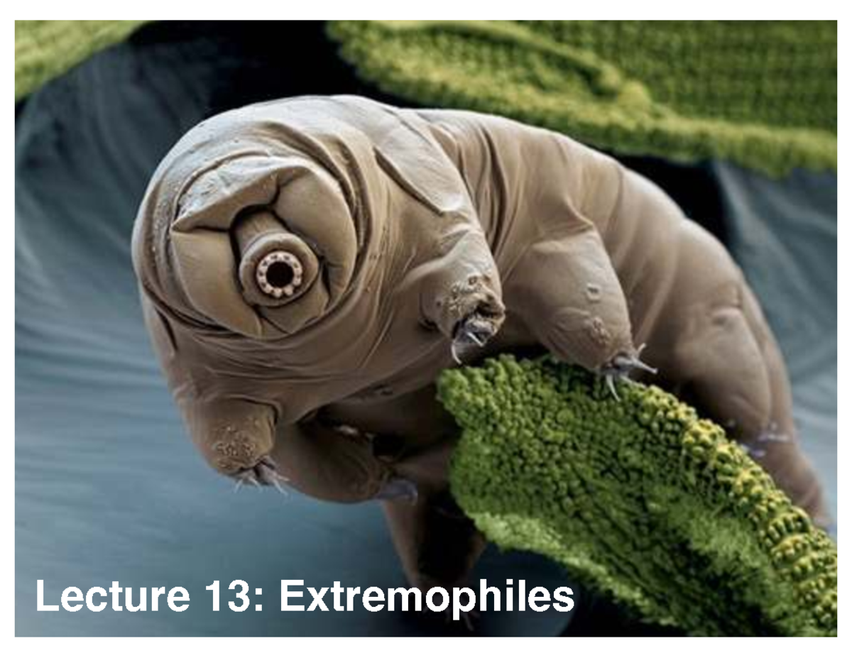 Lecture 13: Extremophiles and Their Unique Adaptations - Studocu