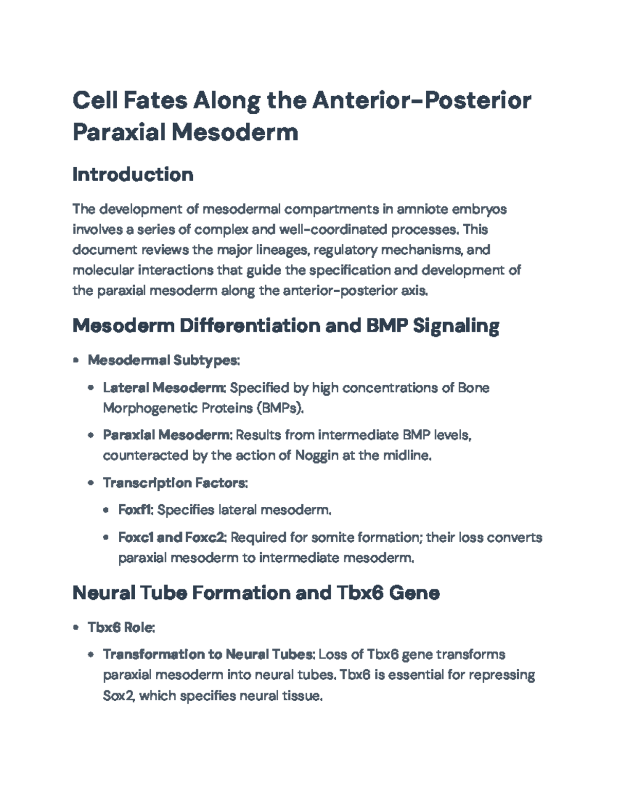 Insights into Paraxial Mesoderm Development & Somitogenesis Process ...
