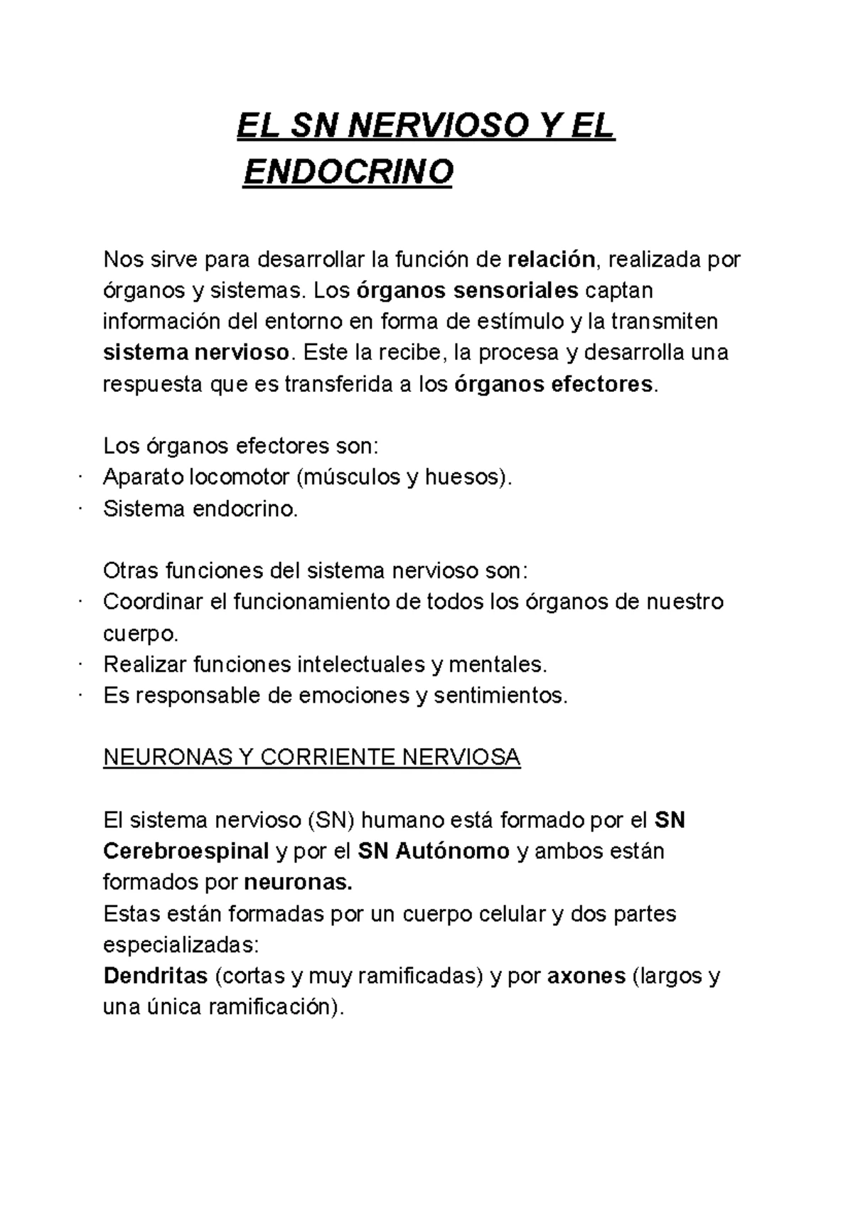 Características, Anatomía y Nutrición del Búho: Un Estudio Completo ...
