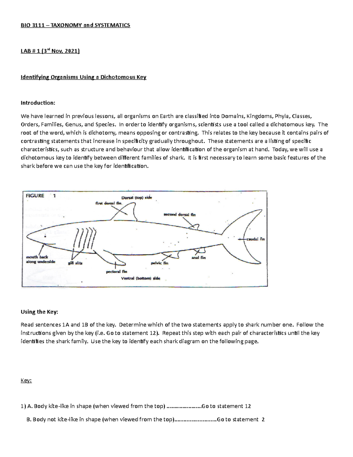 BIO 3111 Lab #1: Identifying Shark Families Using a Dichotomous Key ...