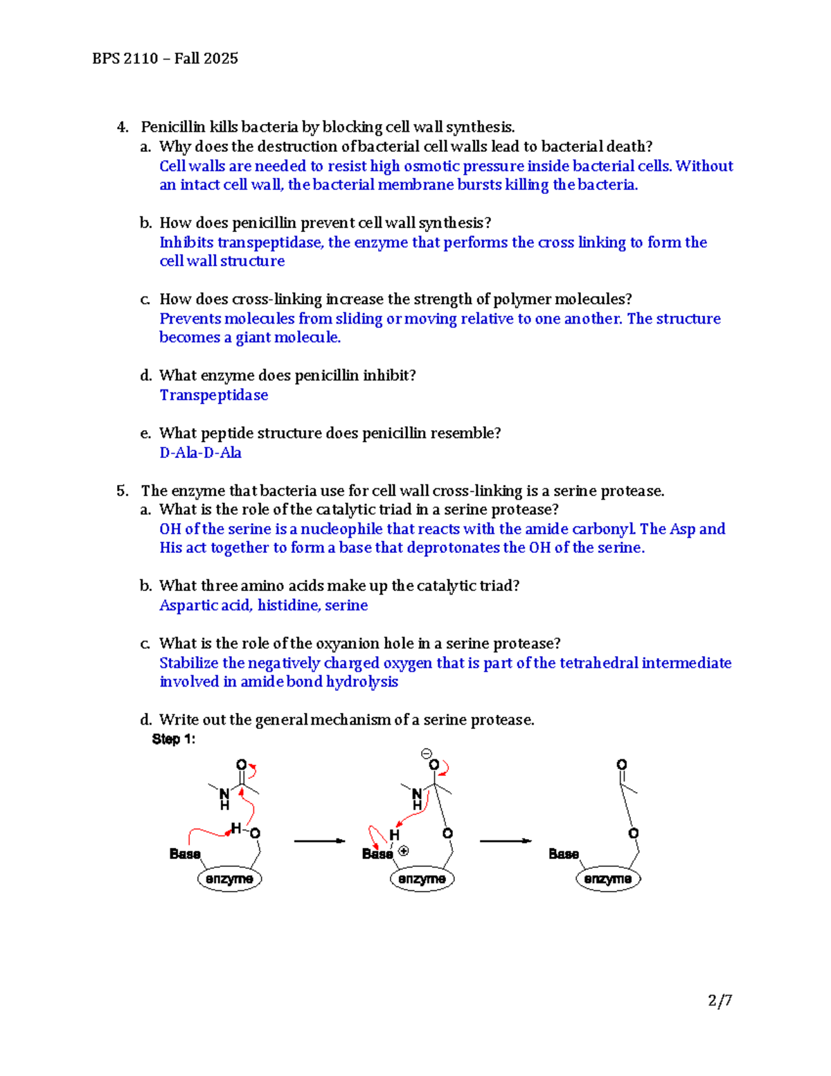 BPS 2110 Fall 2025 - Antibiotics & Bacterial Cell Wall Synthesis - Studocu