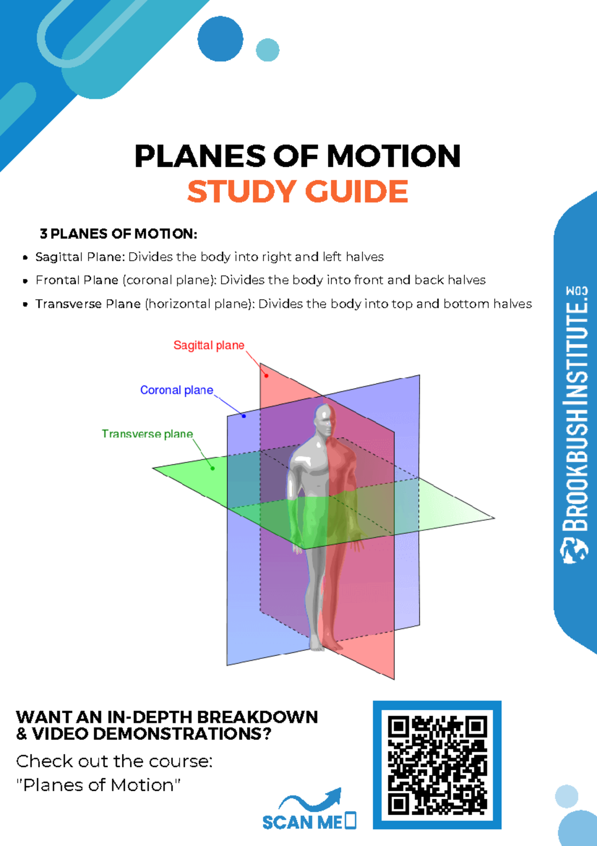 Planes of Motion KEY - PLANES OF MOTION STUDY GUIDE Sagittal Plane ...