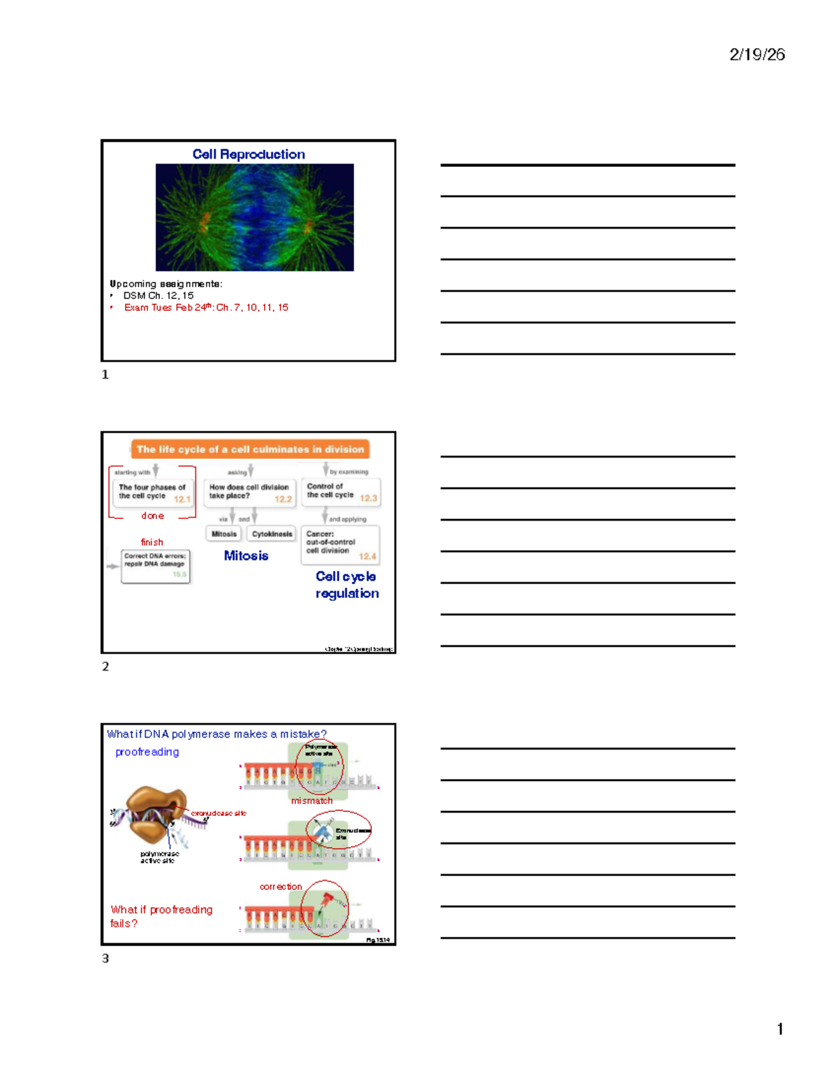 Cell Reproduction Lecture Notes - Chapter 12 Overview - Studocu