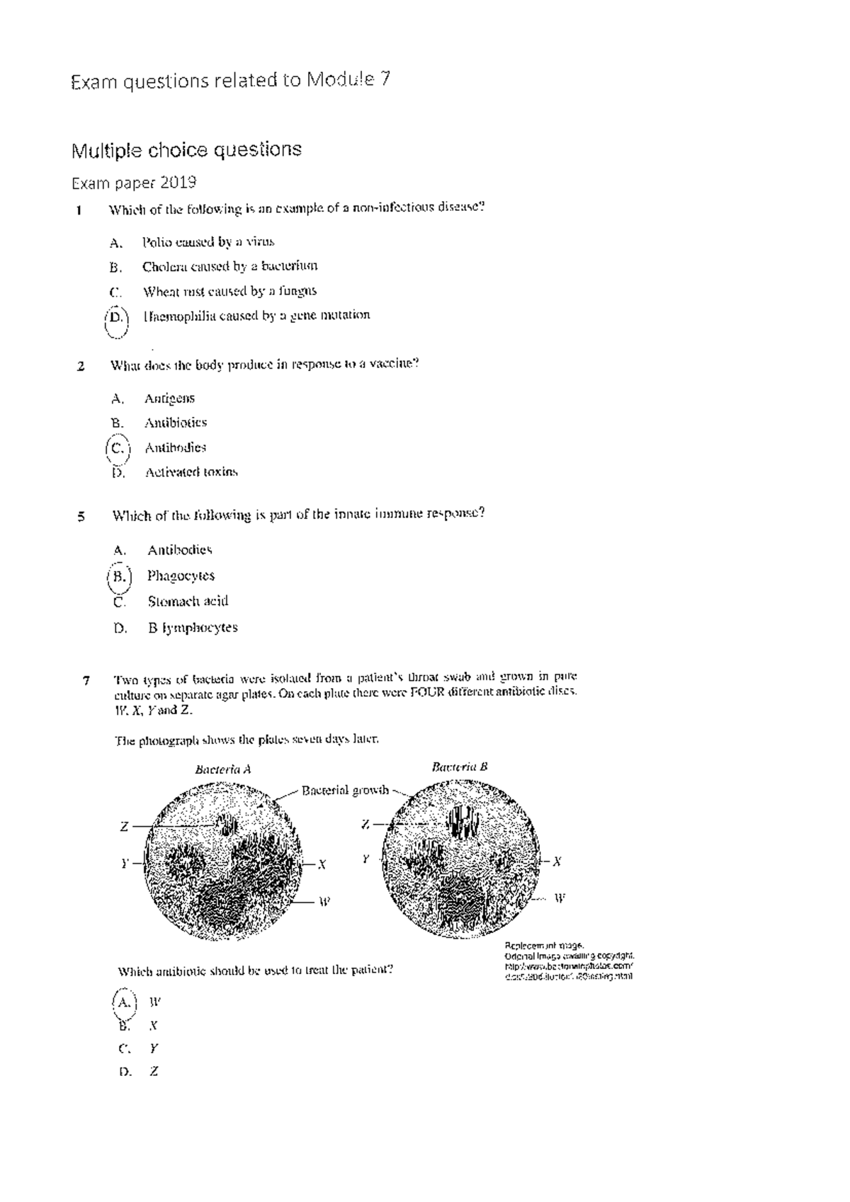 Mod 7 Exam Paper 2019: Multiple Choice Questions and Answers - Studocu