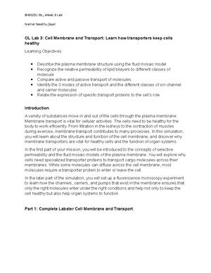 BIOS252 WK1 Case Study - BIOS252 Week 1 Case Study: Anterior ...